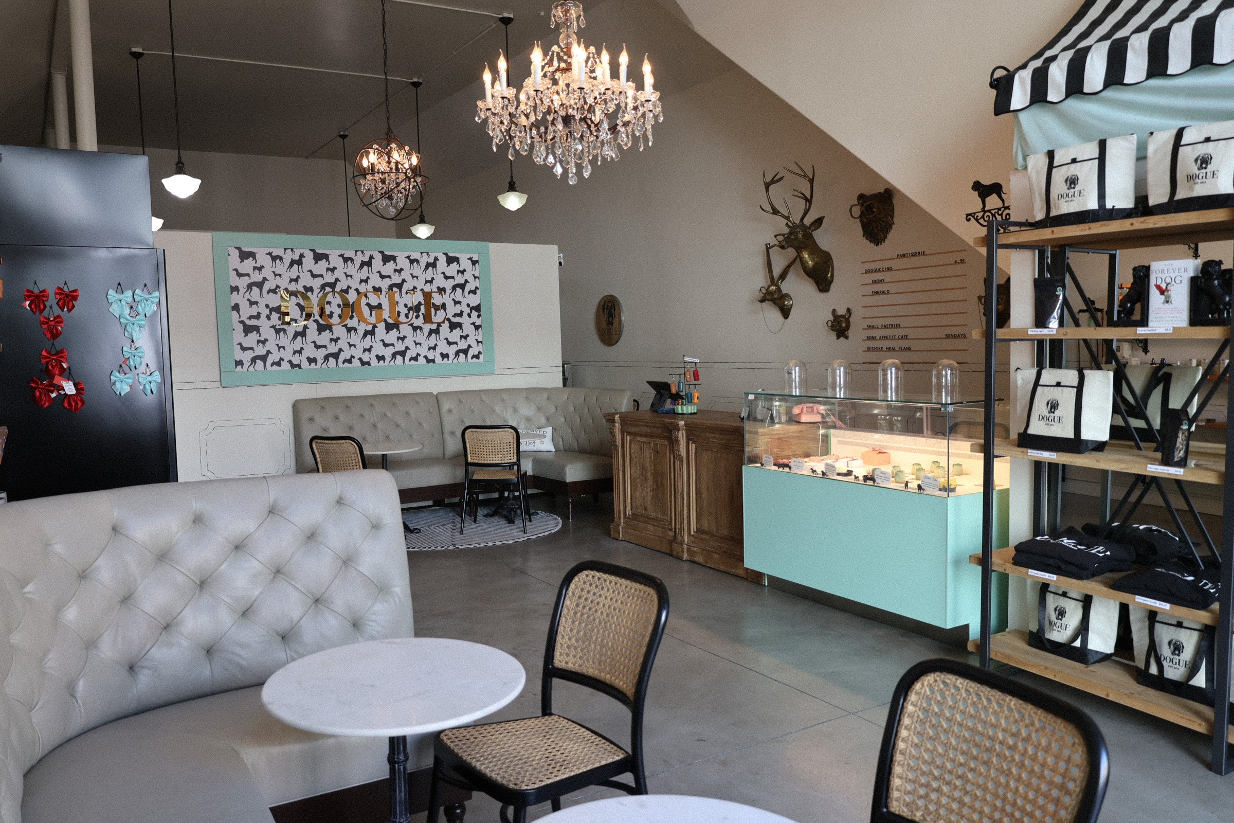 Fresh dog food – Dogue SF