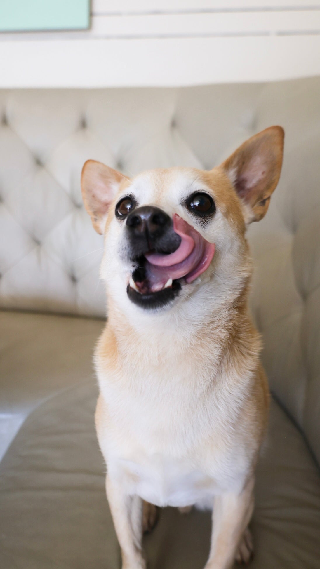 FRESH FOOD – Dogue SF